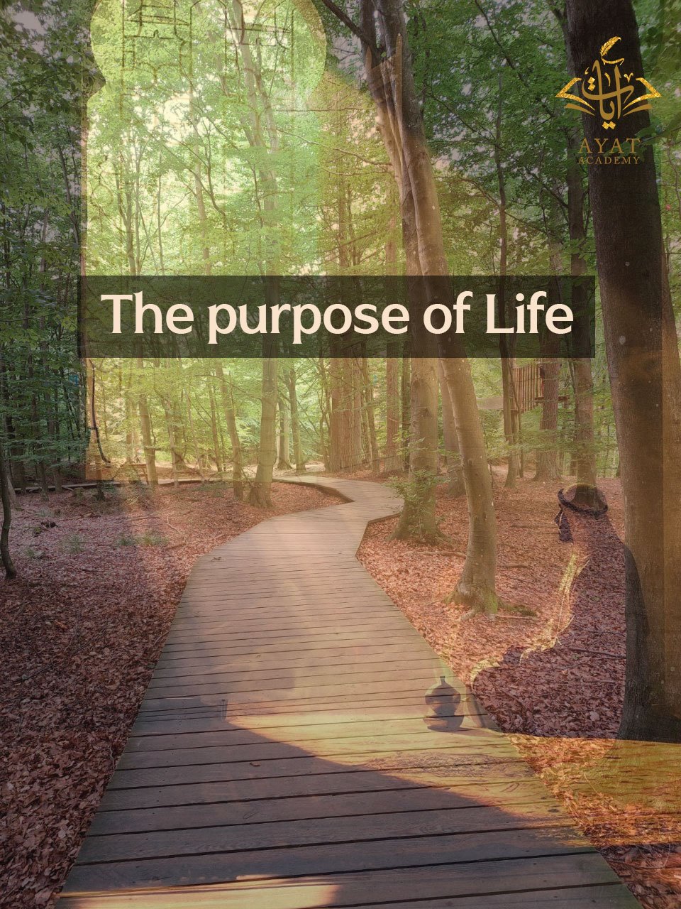 Discover The Purpose Of Life | Find The Way & Your Goals In Life